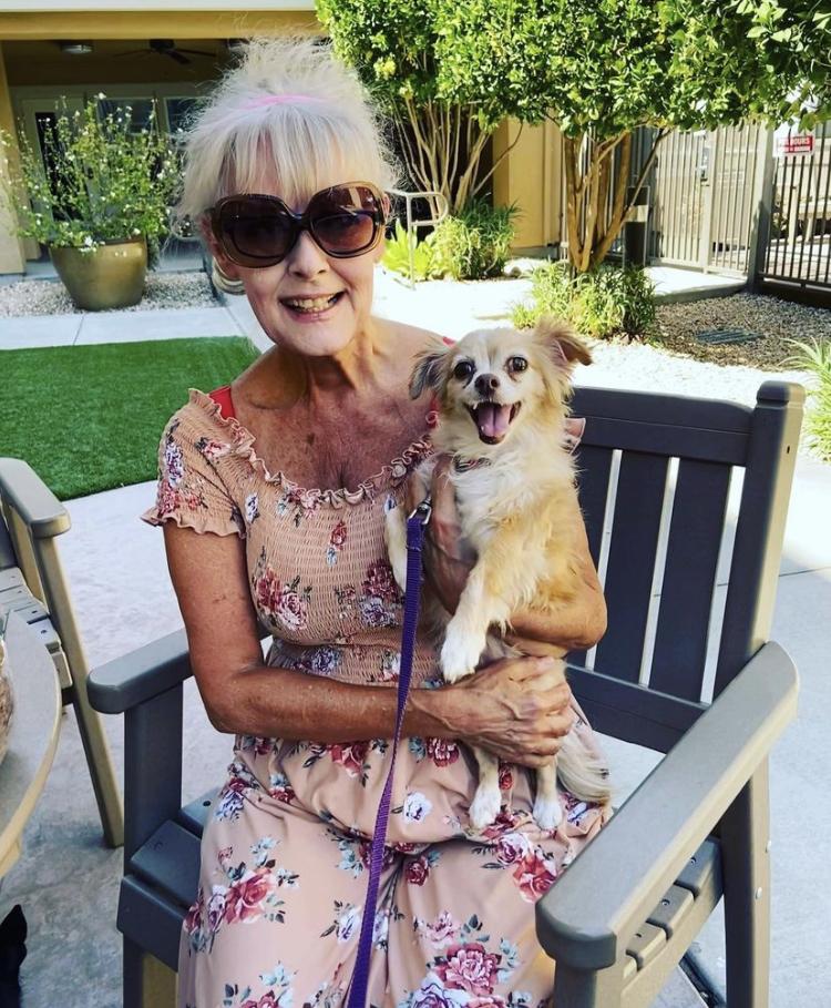 Happy Tails Dogs – Wonder Dog Rescue